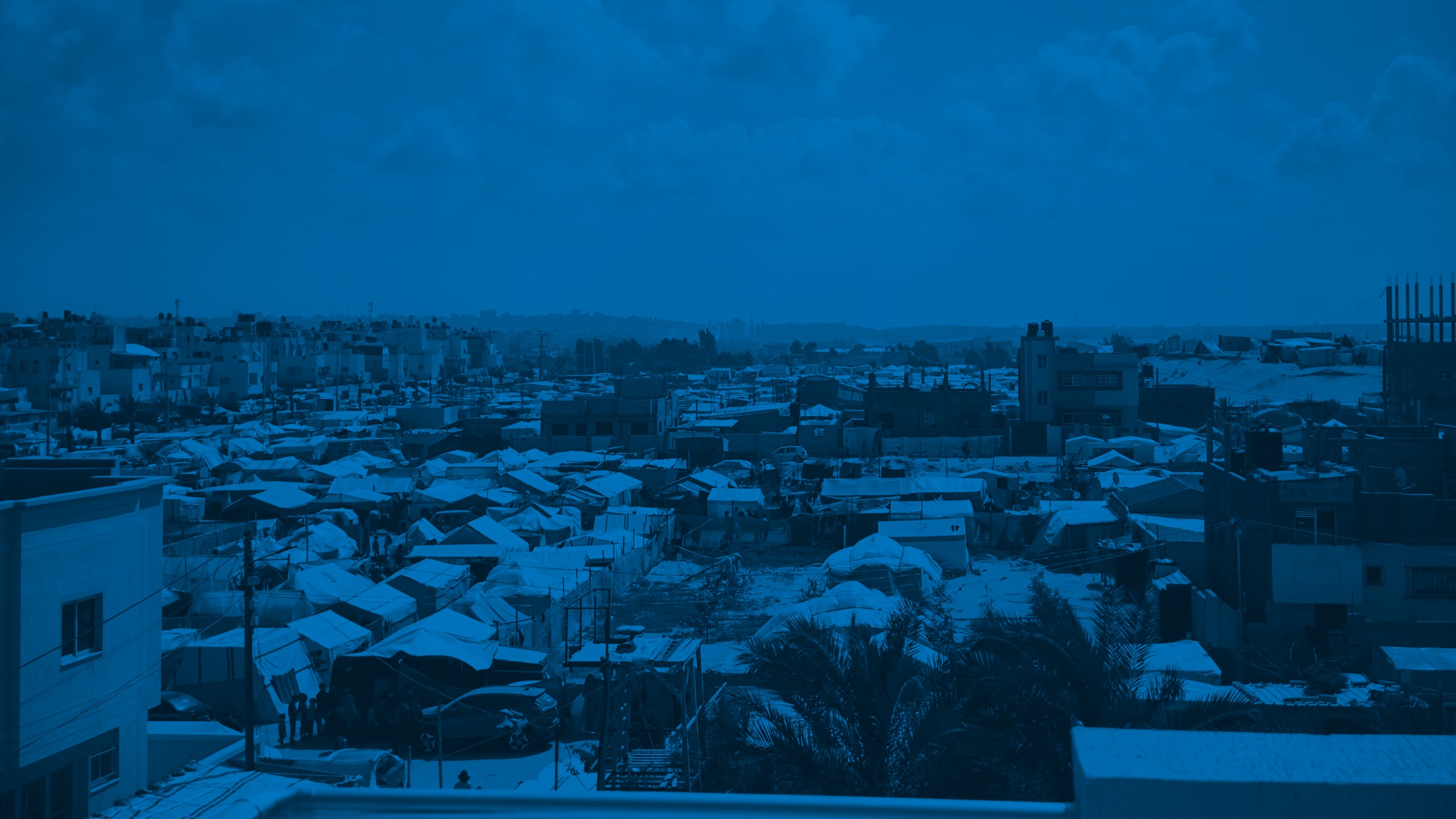 Action Against Hunger: Fighting World Hunger NGO