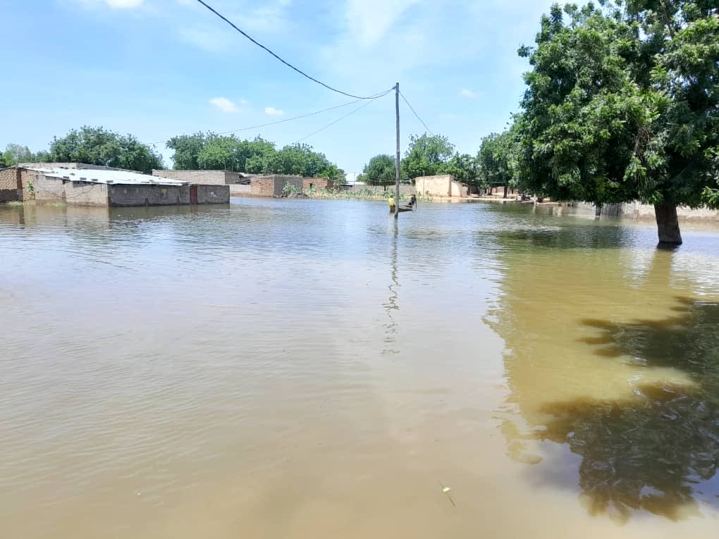 Flooding in Cameroon, the Far North is drowning - Action contre la Faim