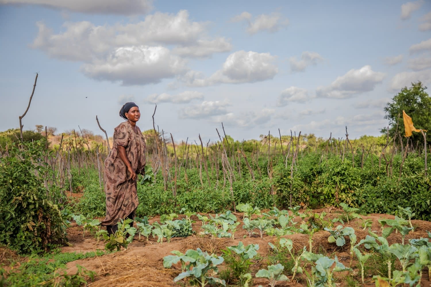 Growing Equity in Kenya