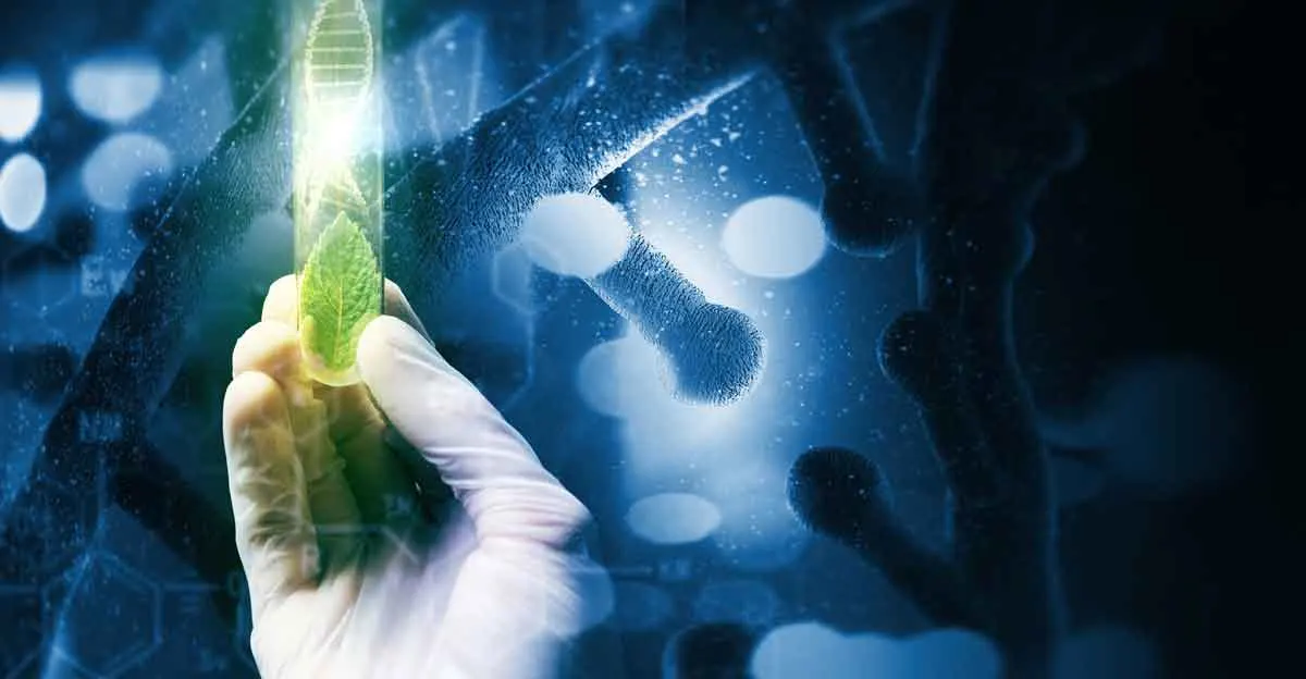 About Us - Active AgriScience