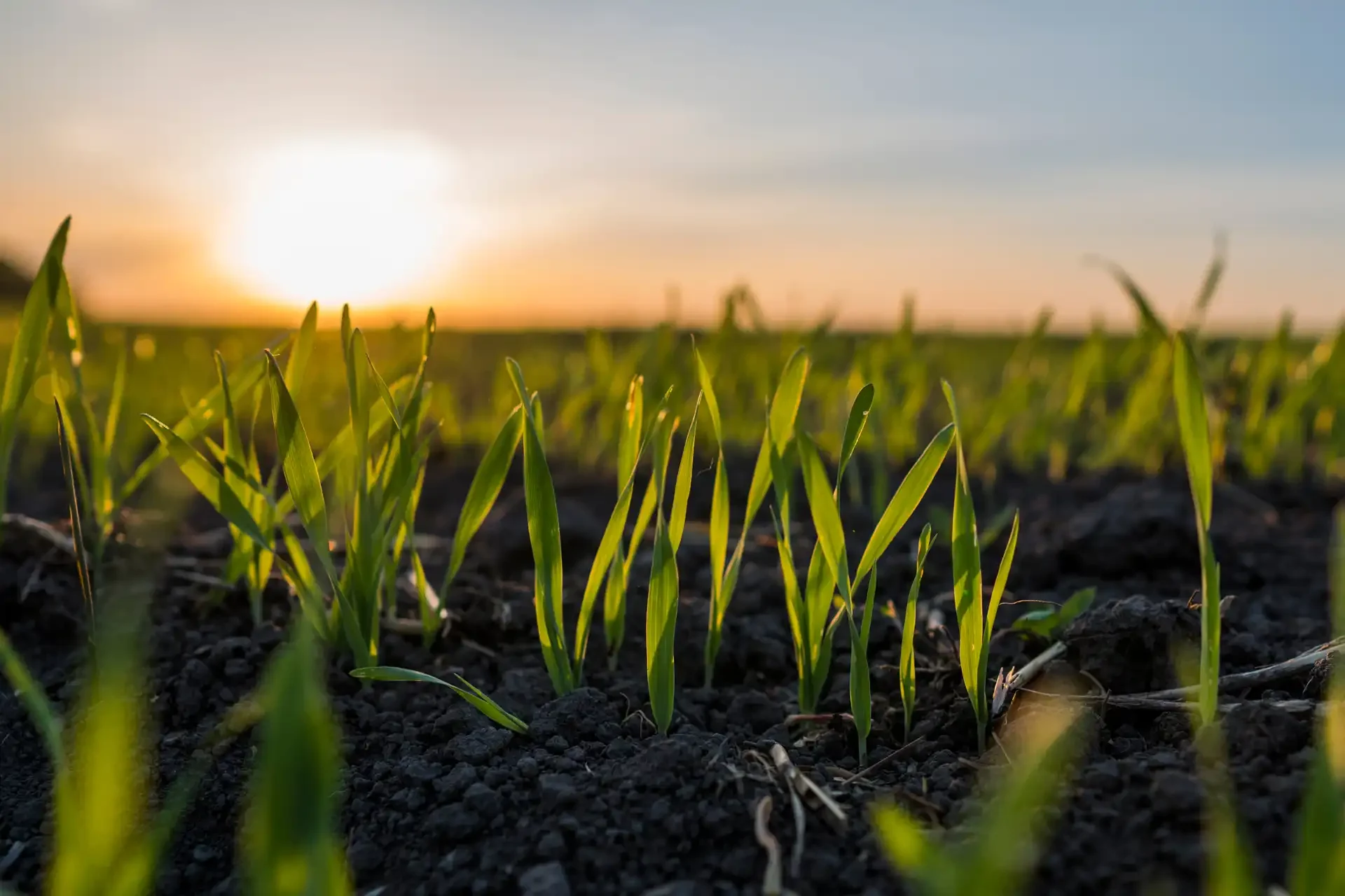 Privacy Policy - Active AgriScience Australia