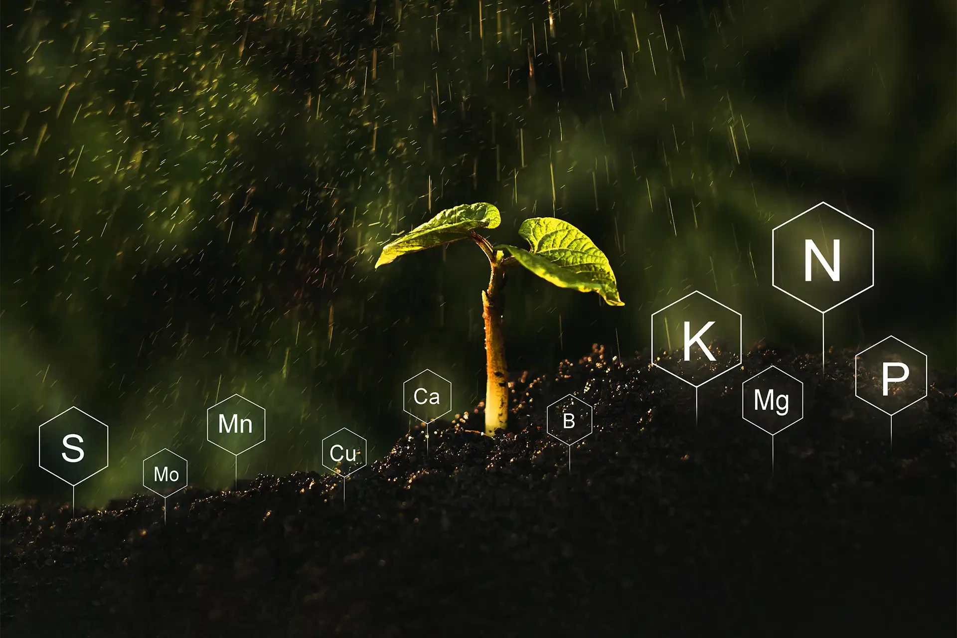 Products - Active AgriScience Australia