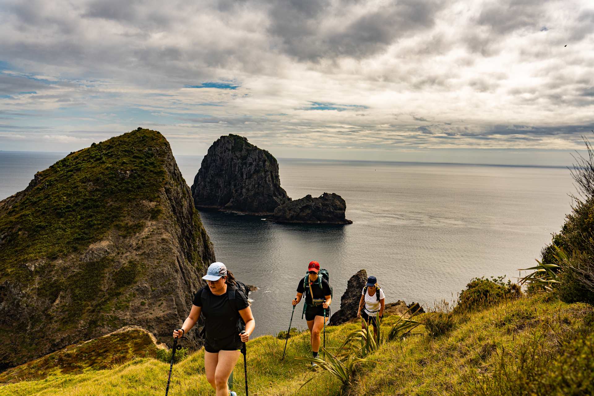 Employment | Active Adventures