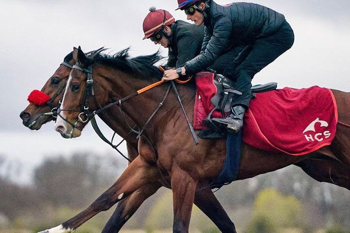Harraton Court Stables Tour for Two with Darryll Holland | AS.com
