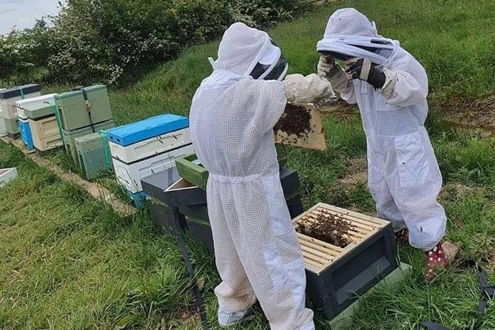 Half Day Beekeeping Experience For Two at More Bees Please
