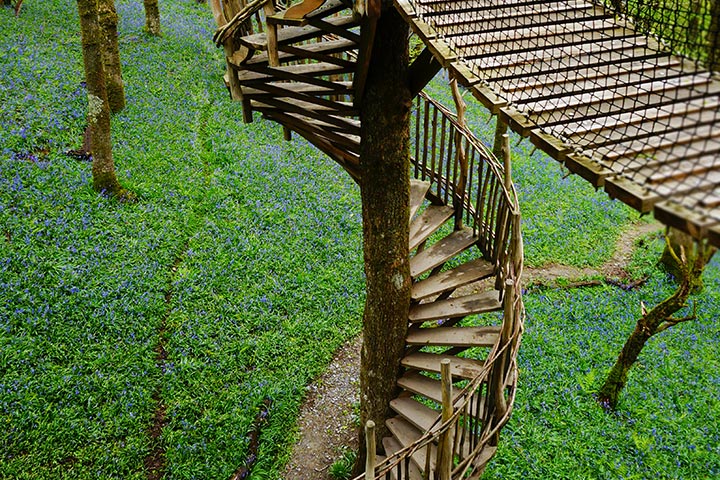 Two Night Family Tree House Escape | Activity Superstore