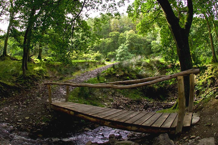 Two Night Family Tree House Escape | Activity Superstore