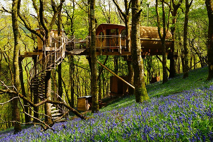 Two Night Tree House Escape for 2 | Activity Superstore
