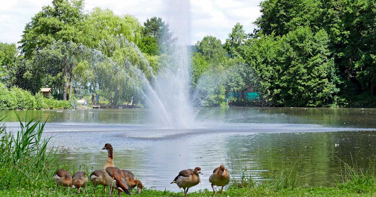 Bad Kãƒânig Kurpark