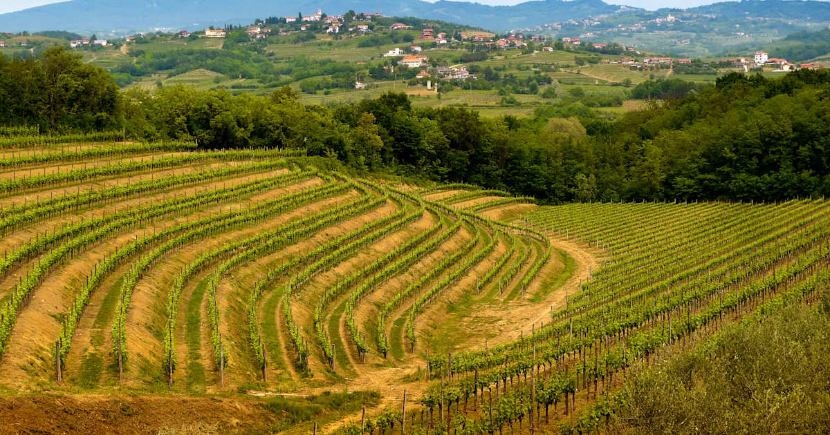 Collio, Cormòns: Infos, Preise und mehr | ADAC Maps