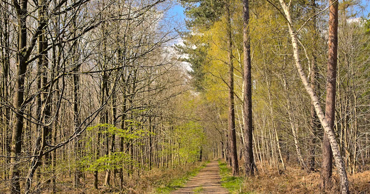 Het Leen, Eeklo: Infos, Preise und mehr | ADAC Maps