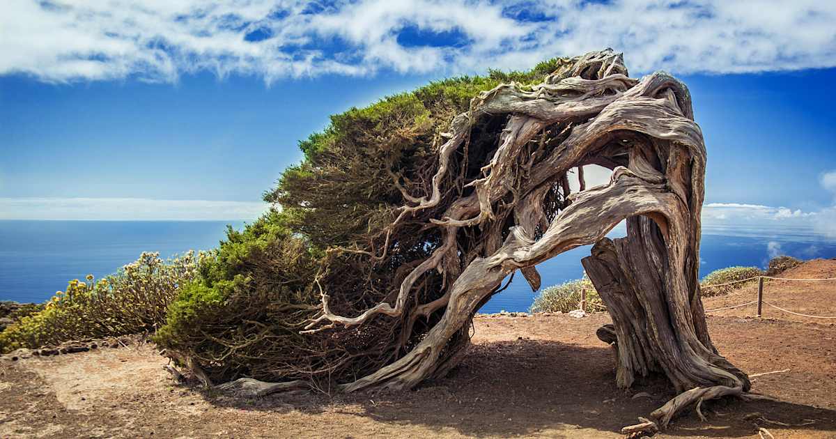 El Hierro: Karte, Tipps & Infos für die Region | ADAC Maps