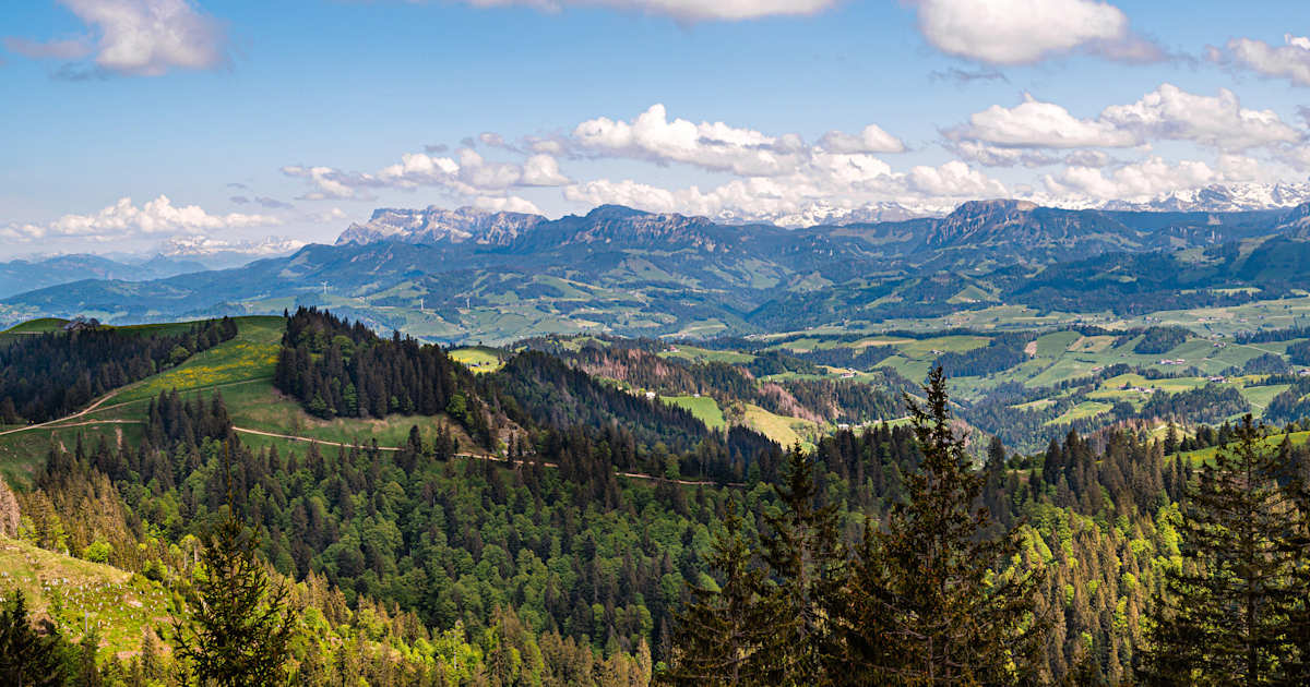 Napf: Infos, Preise und mehr | ADAC Maps