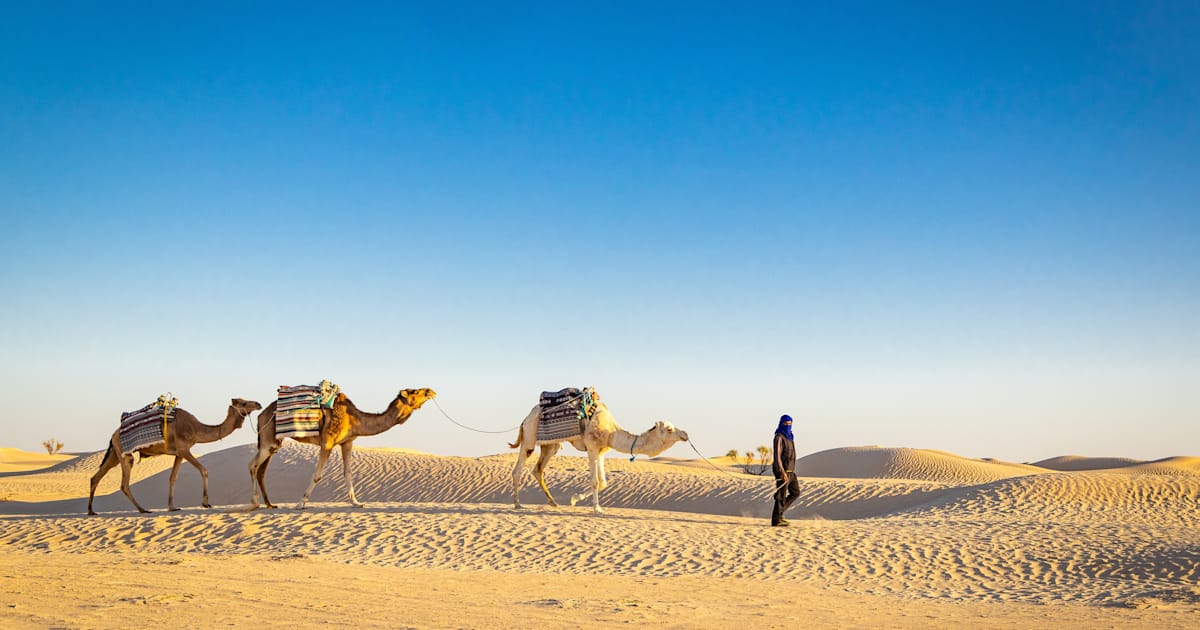 Gouvernement Kebili: Karte, Tipps & Infos für die Region | ADAC Maps