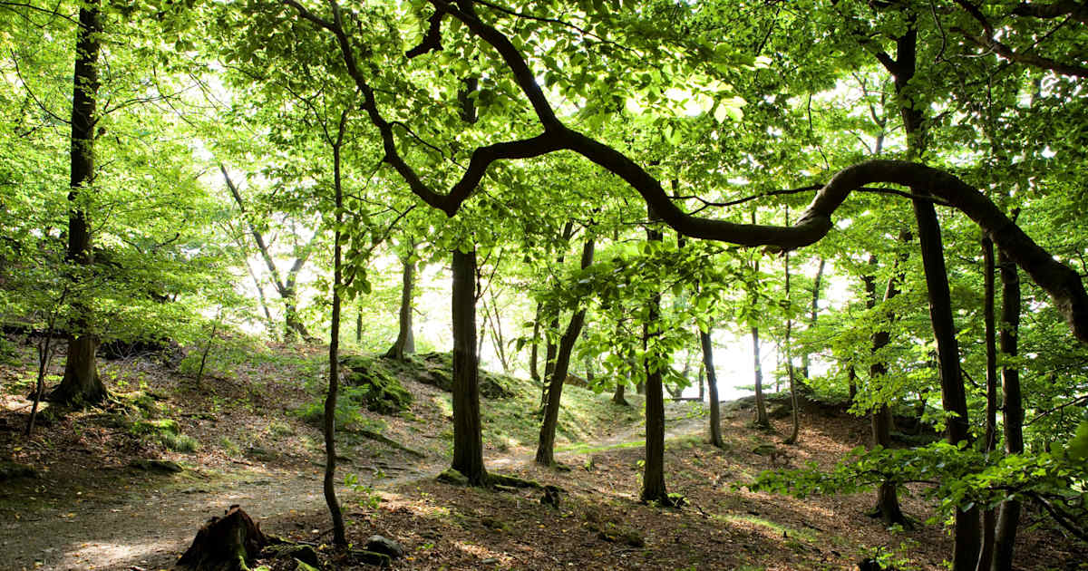 Naturpark Rhein-Taunus, Idstein: Infos, Preise und mehr | ADAC Maps