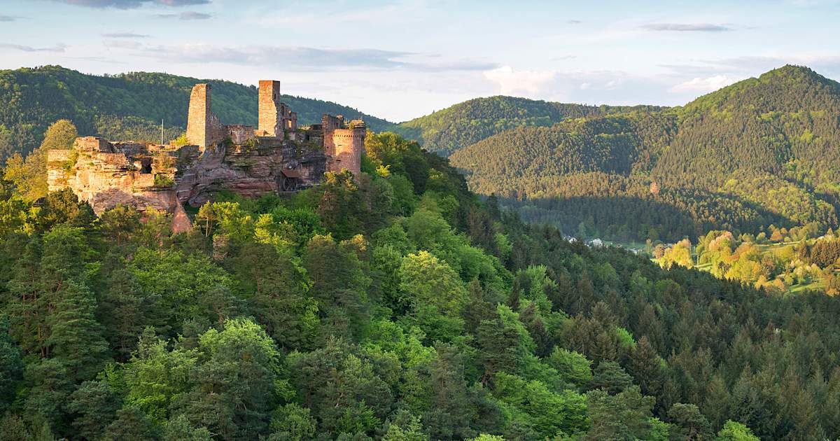 Tourismusinformation Dahn, Dahn: Infos, Preise und mehr | ADAC Maps