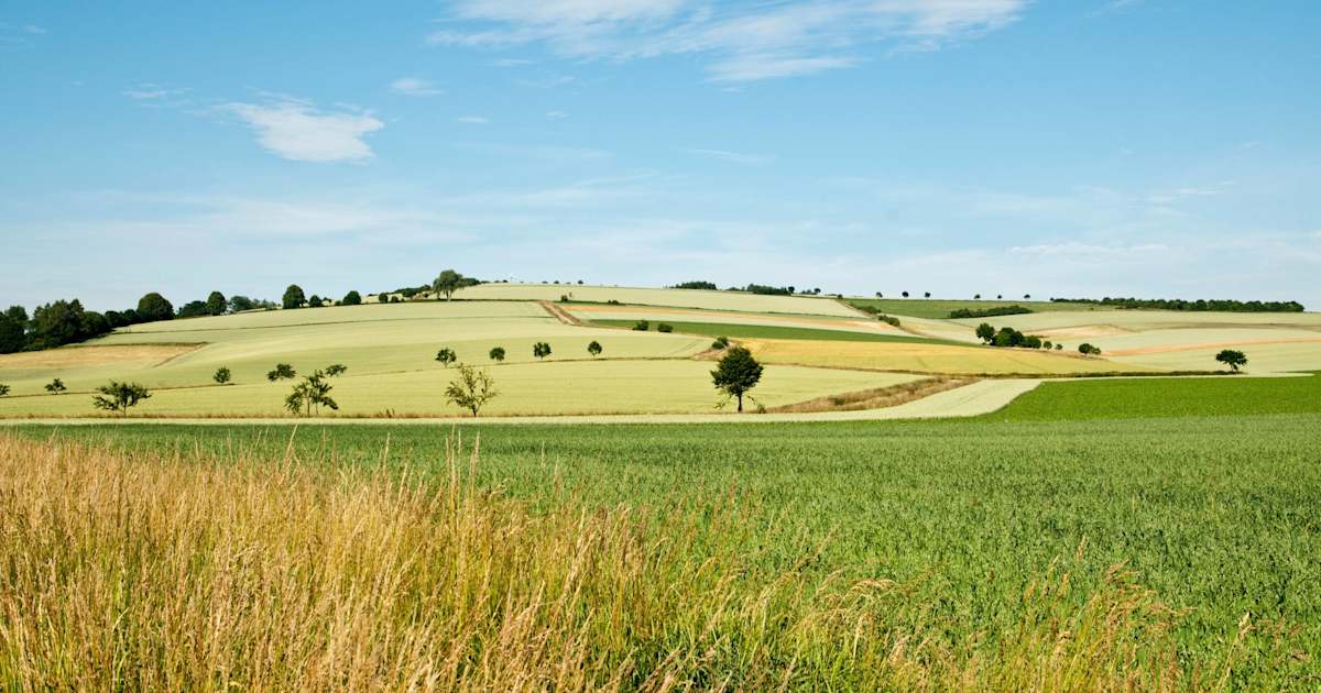 Naturpark Solling-Vogler: Karte, Tipps & Infos für die Region | ADAC Maps
