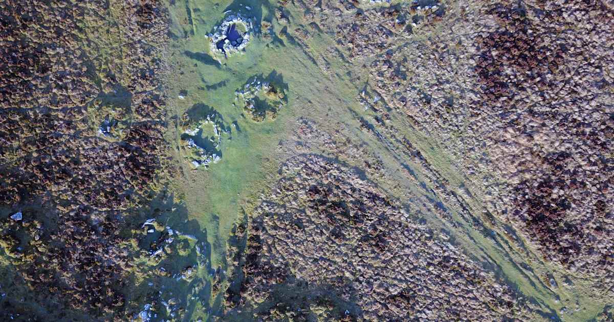 Dartmoor National Park, Princetown: Infos, Preise und mehr | ADAC Maps