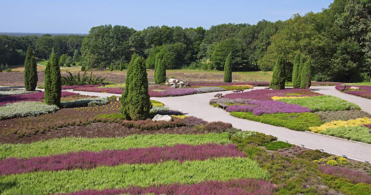 Schneverdingen: Stadtplan, Tipps & Infos | ADAC Maps