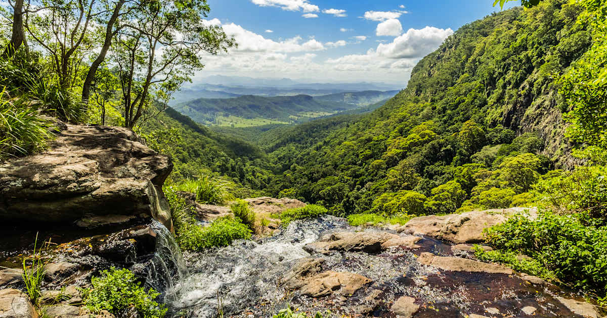 Lamington National Park: Infos, Preise und mehr | ADAC Maps