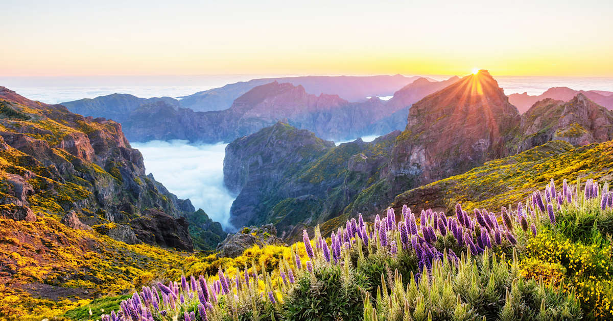 Beste Reisezeit Madeira: Klima und Saisonhighlights | ADAC Maps