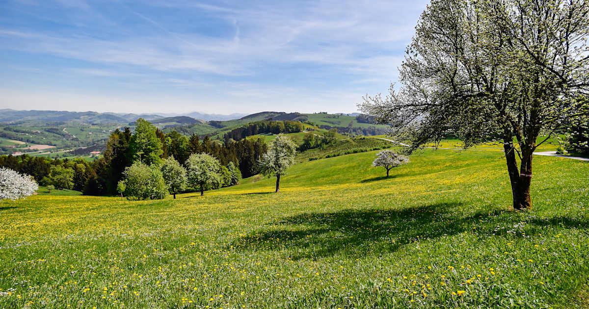 Mostviertel: Karte, Tipps & Infos für die Region | ADAC Maps