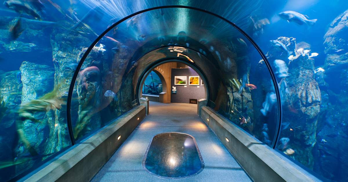 Oregon Coast Aquarium, Newport: Infos, Preise und mehr | ADAC Maps