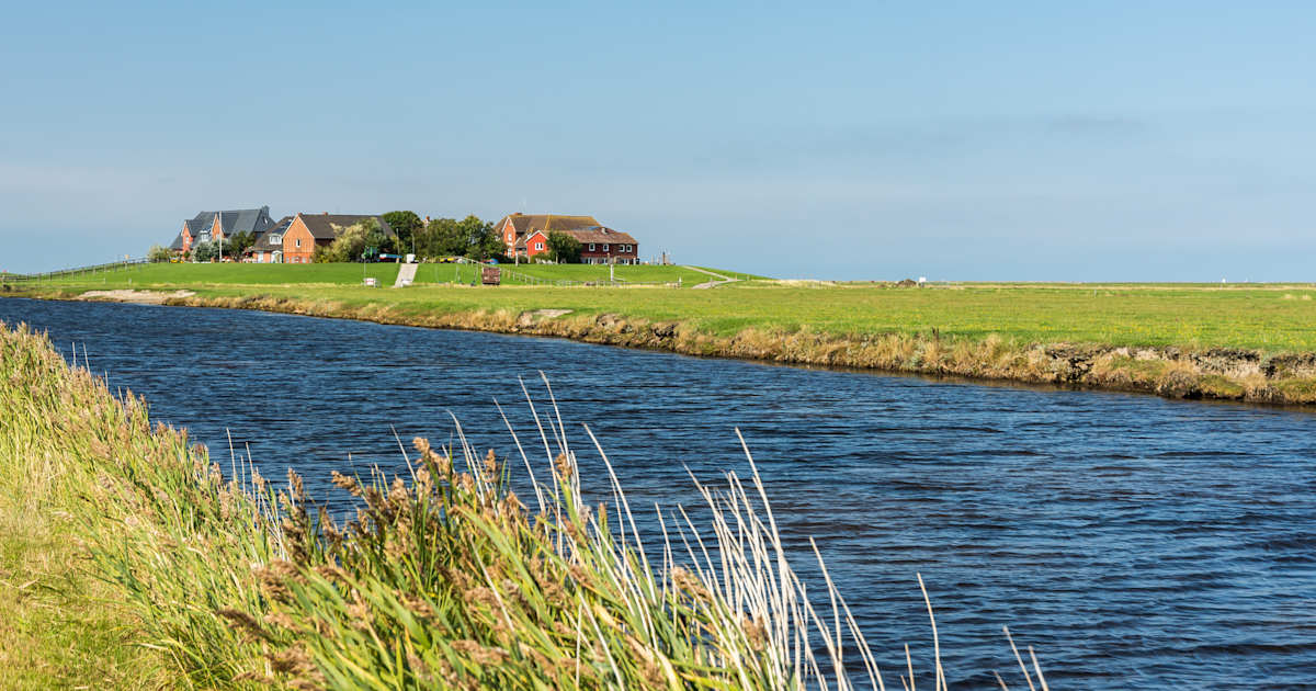 Schifffahrt zur Hallig Hooge: Infos, Preise und mehr | ADAC Maps