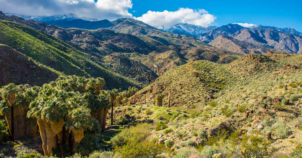 Indian Canyons Palm Springs: Infos, Preise und mehr | ADAC Maps