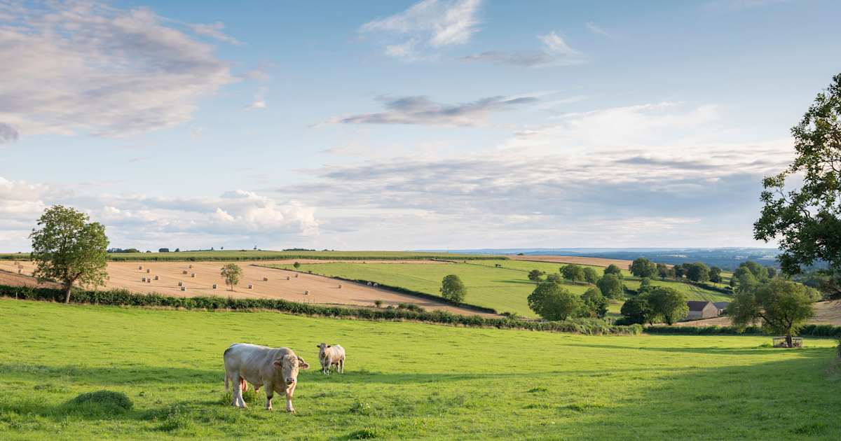 Parc Naturel Régional du Morvan | ADAC Maps