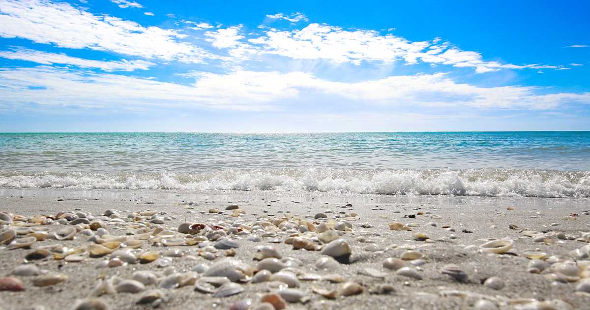 Sanibel Island, Sanibel: Infos, Preise und mehr | ADAC Maps