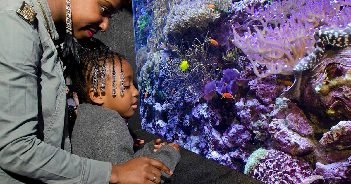 Seattle Aquarium, Seattle: Infos, Preise und mehr | ADAC Maps