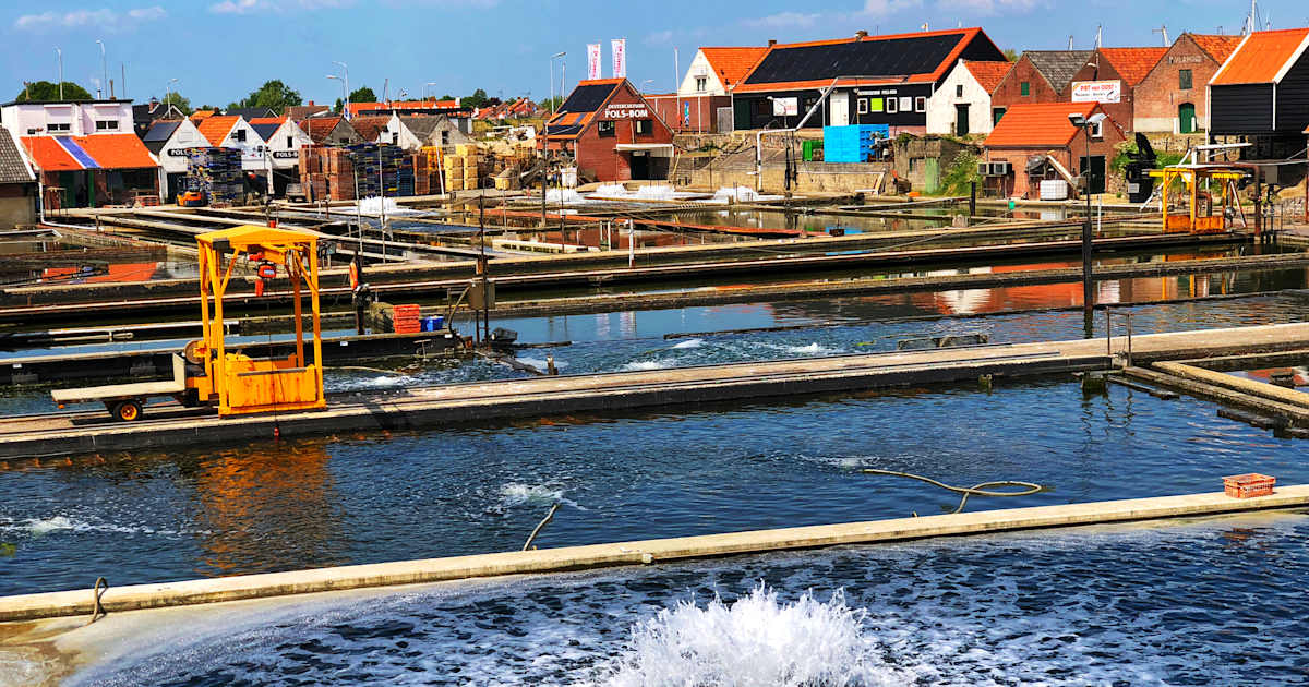 Tourismusinformation Yerseke, Yerseke: Infos, Preise und mehr | ADAC Maps