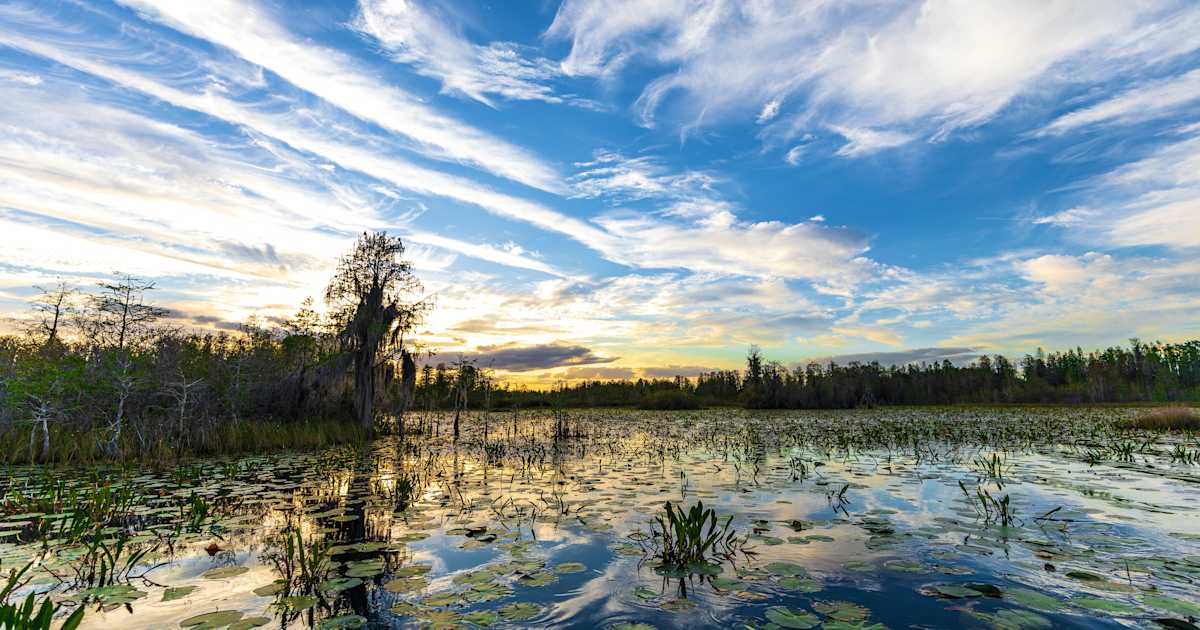 Okefenokee National Wildlife Refuge: Infos, Preise und mehr | ADAC Maps