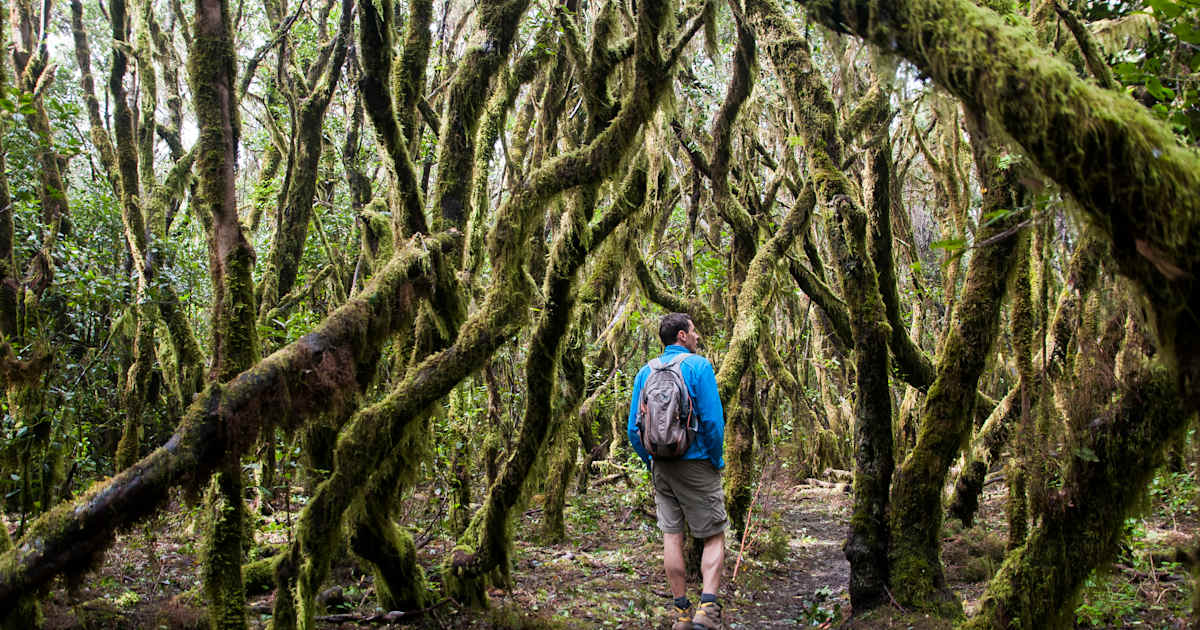 Parque Nacional de Garajonay, Agulo: Infos, Preise und mehr | ADAC Maps