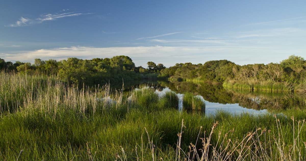 Étang de Biguglia, Pastina: Infos, Preise und mehr | ADAC Maps