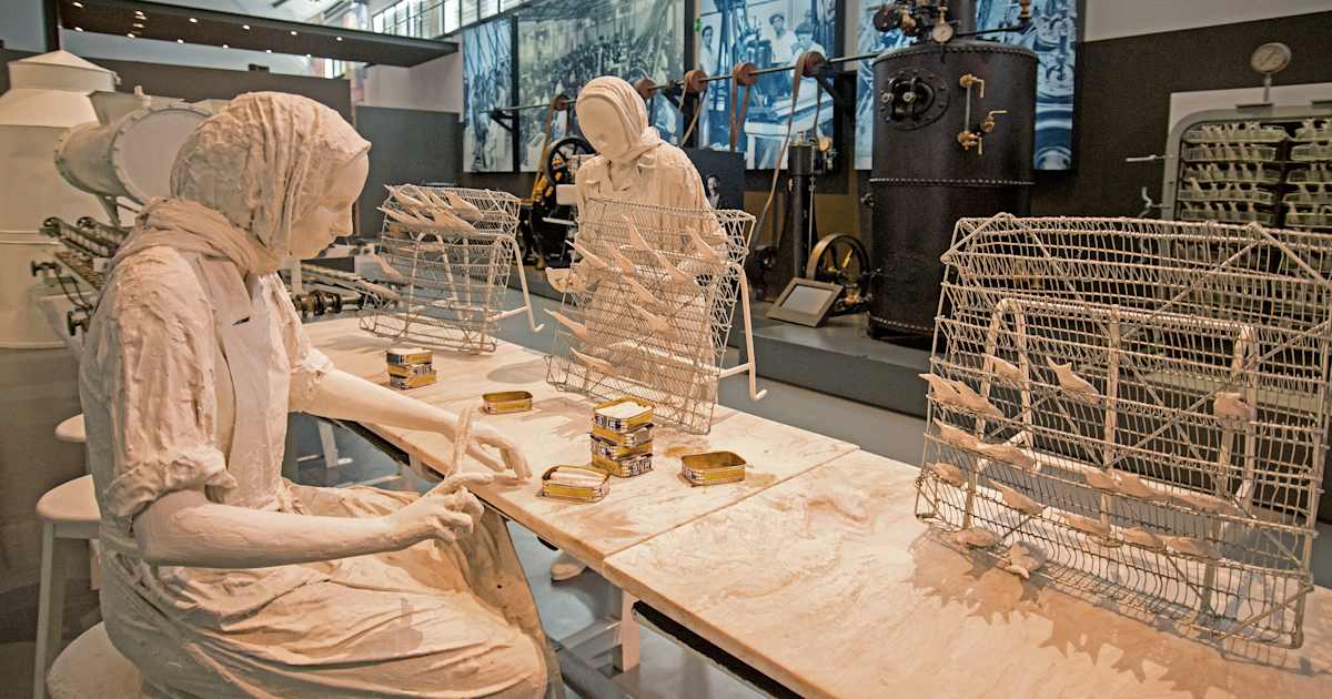 Museum Portimão, Portimão: Infos, Preise und mehr | ADAC Maps