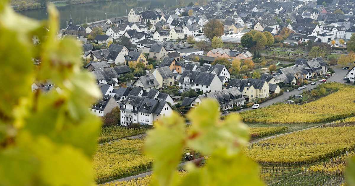 Tourismusinformation Winningen, Winningen: Infos, Preise und mehr ...