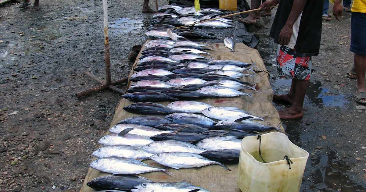 Auki: Stadtplan, Tipps & Infos | ADAC Maps