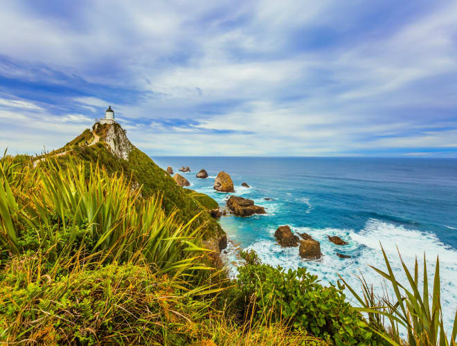 Nugget Point: Infos, Preise und mehr | ADAC Maps