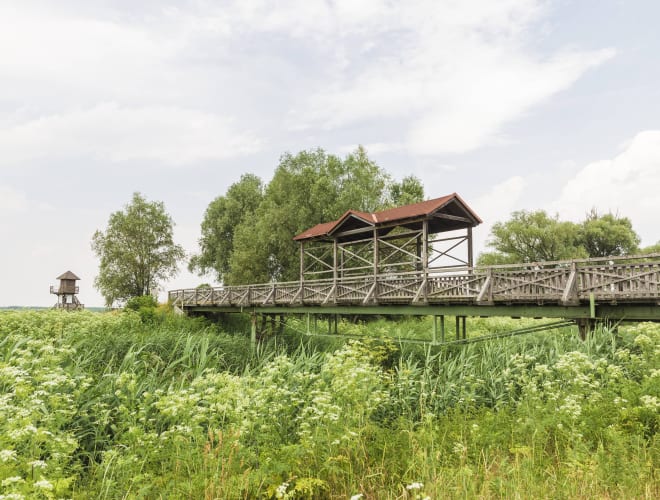 Brücke von Andau, Andau: Infos, Preise und mehr | ADAC Maps