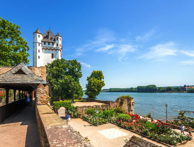 Kurfürstliche Burg, Eltville: Infos, Preise und mehr | ADAC Maps