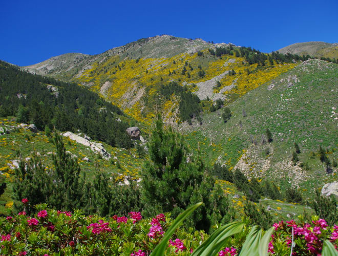 Vallespir, Ceret: Infos, Preise und mehr | ADAC Maps