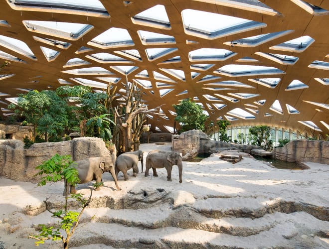 Zoo Zürich, Zuerich: Infos, Preise und mehr | ADAC Maps