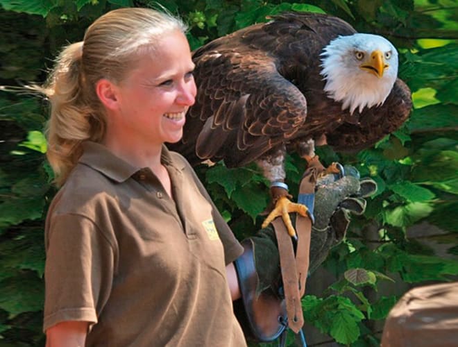 Vogelpark Steinen, Steinen: Infos, Preise und mehr | ADAC Maps
