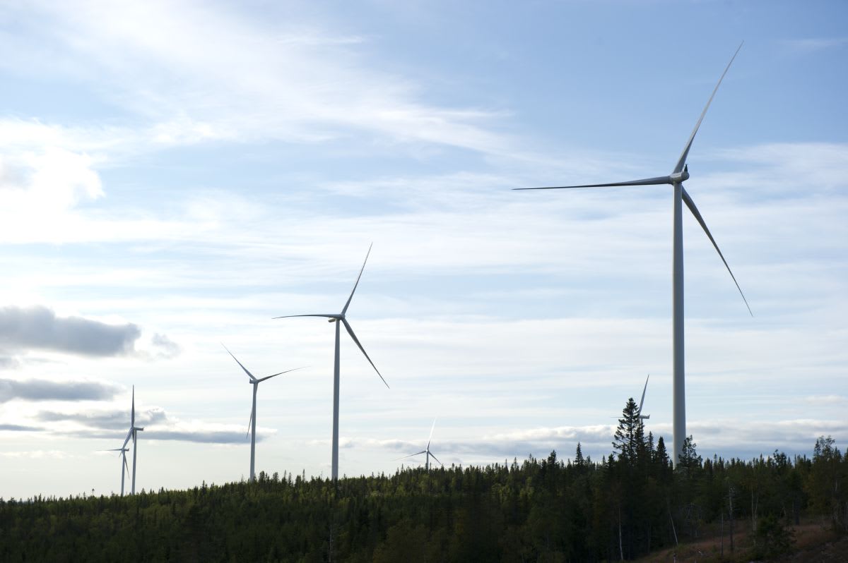 Blaiken, Wind Farm | NCC