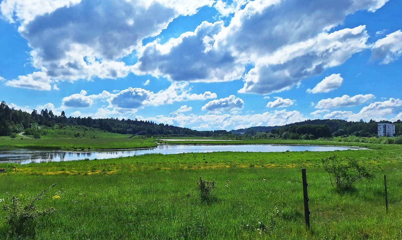 Being able to measure biodiversity is important | NCC