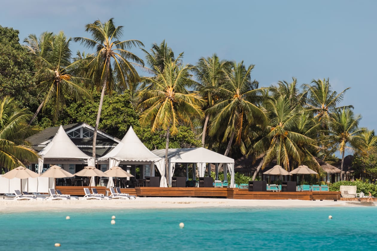 Adhadhu - MATATO challenges World Bank growth forecast downgrade over ...