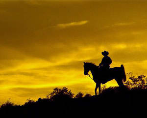 Wild West Horseback Riding Las Vegas - Sunset Dinner Ride - Adrenaline