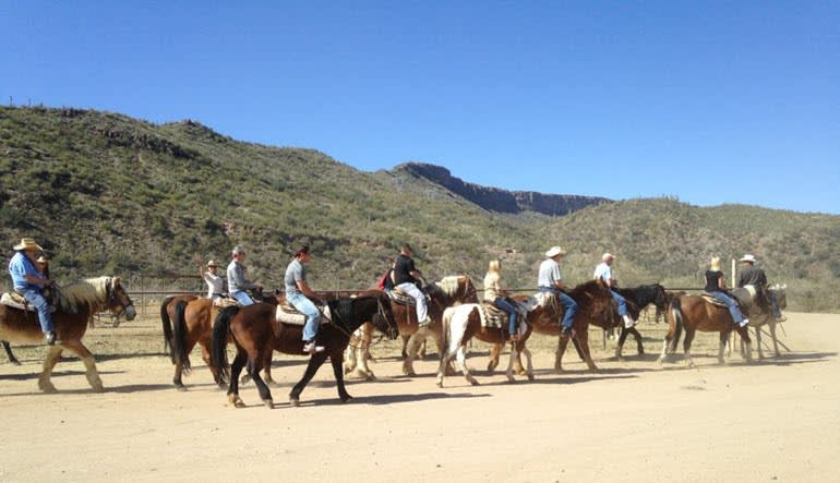 Horseback Riding Phoenix